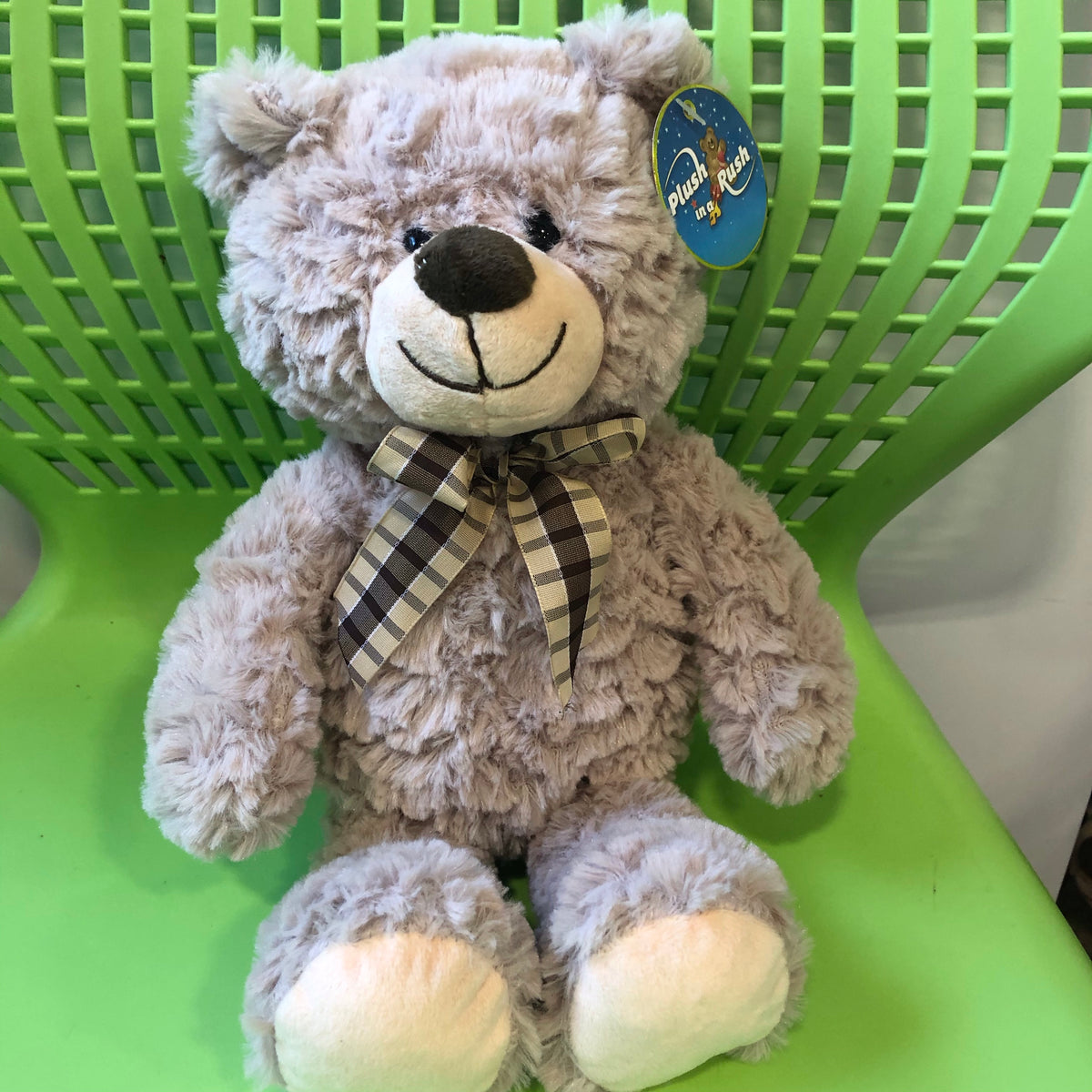 Teddy Bear – Chocolate Works of Bellmore